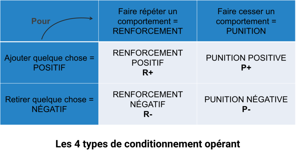 Comment le cheval apprend : renforcements et punitions - Les Chevaux ...